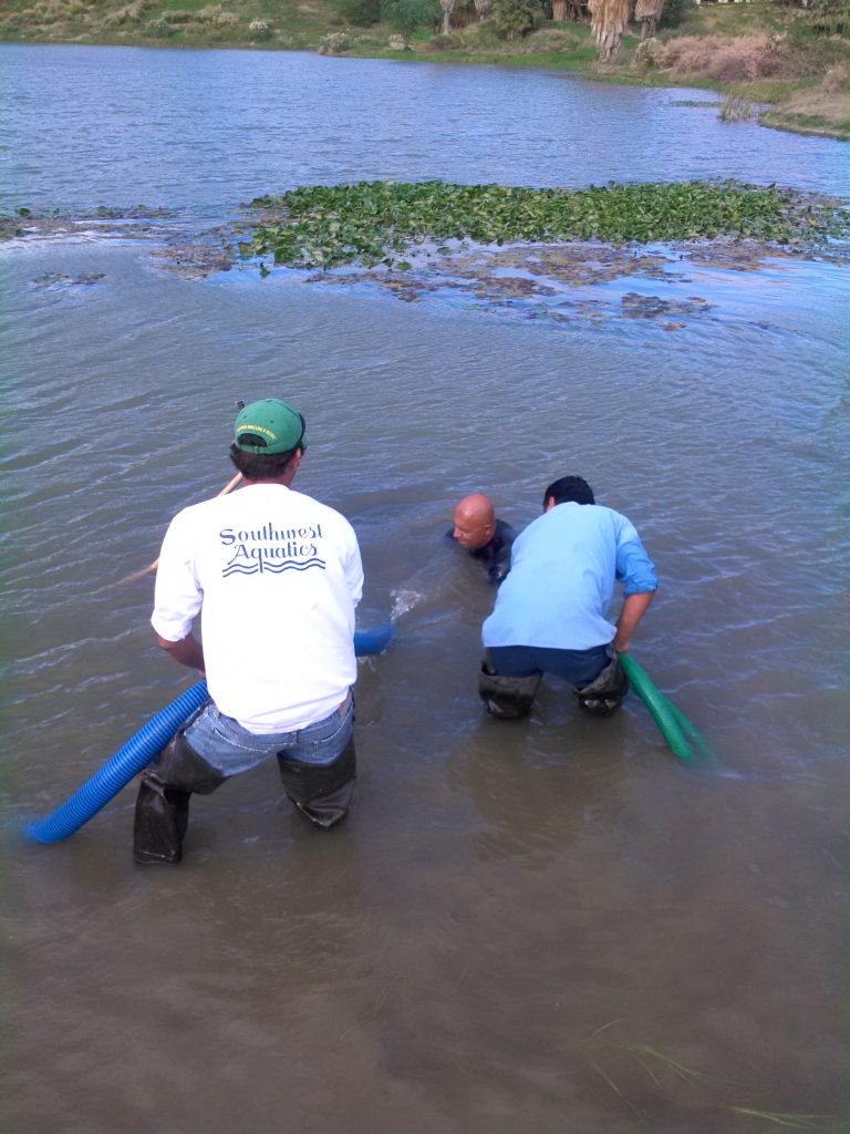 KIMG0300 - Southwest Aquatics