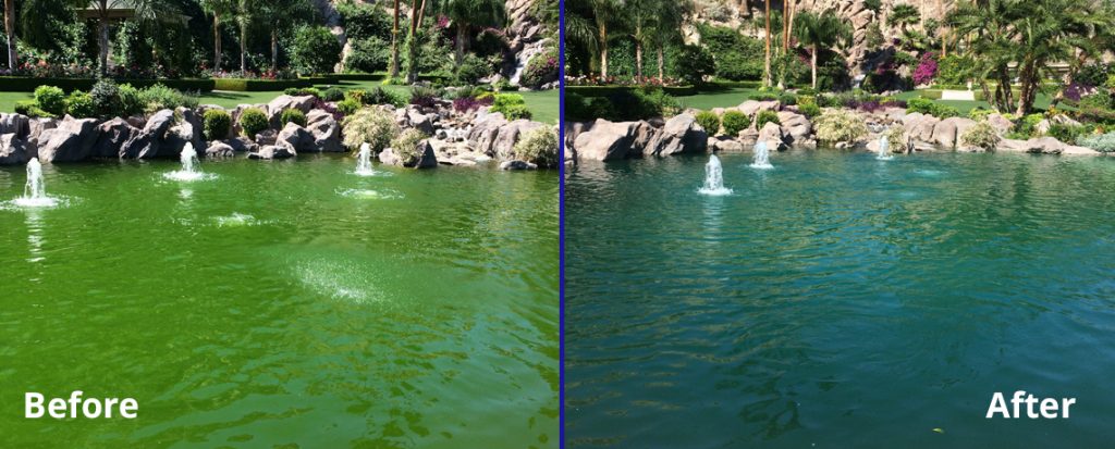 Welcome to SOUTHWEST AQUATICS - Southwest Aquatics